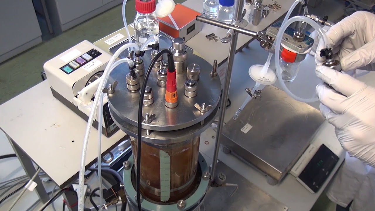 03 Microbial Bioreactor: Needle Addition to Reactor - YouTube