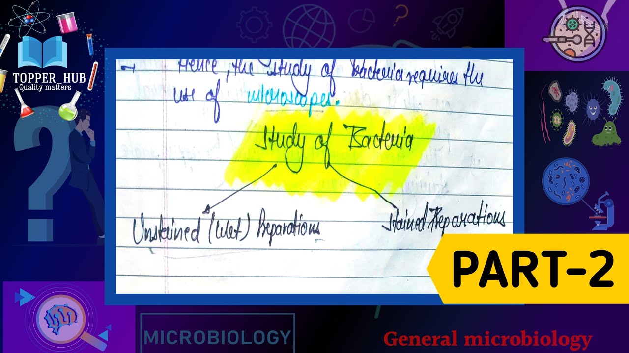 Study of bacteria microbiology | Structure and morphology of bacteria ...