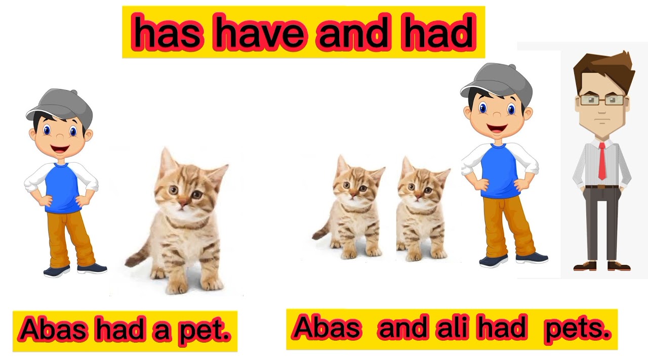 HAS, HAVE AND HAD || USE OF HAS HAVE AND HAD || HAS SINGULAR PERSON USE ...