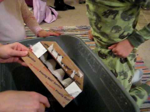 B. Lateralis Unpacking - YouTube