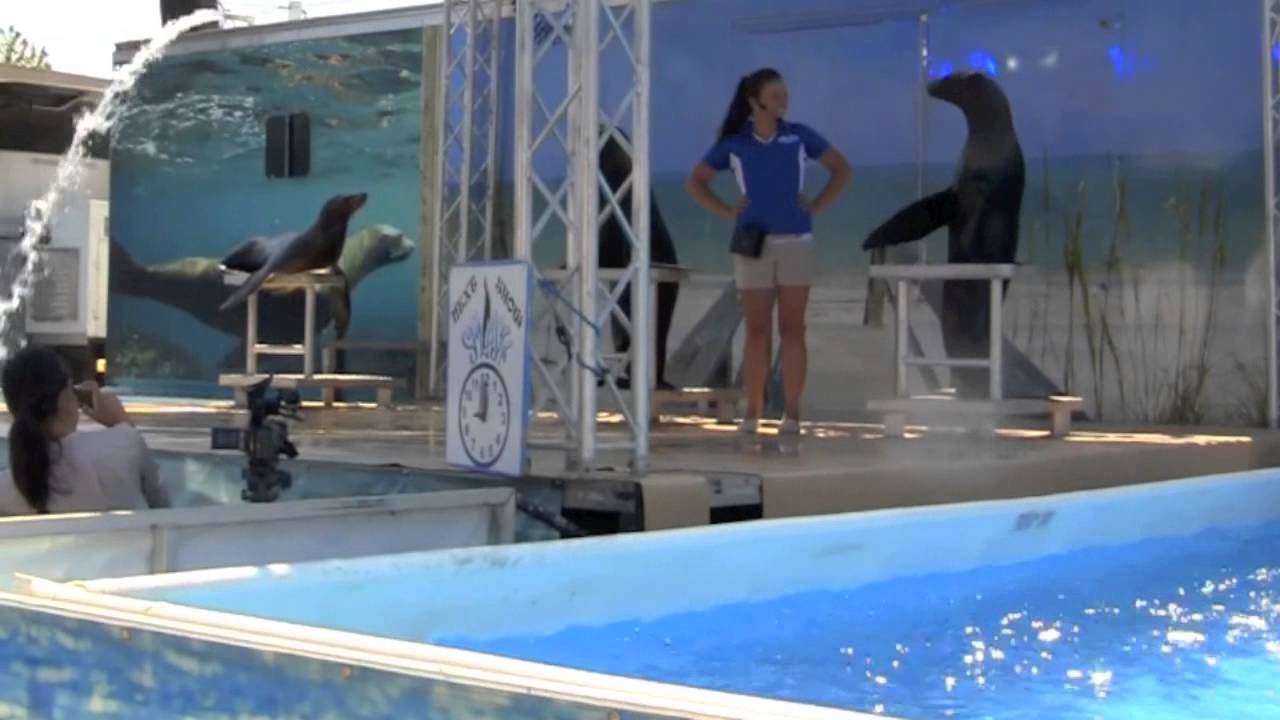 Josephine County Fair opens - YouTube