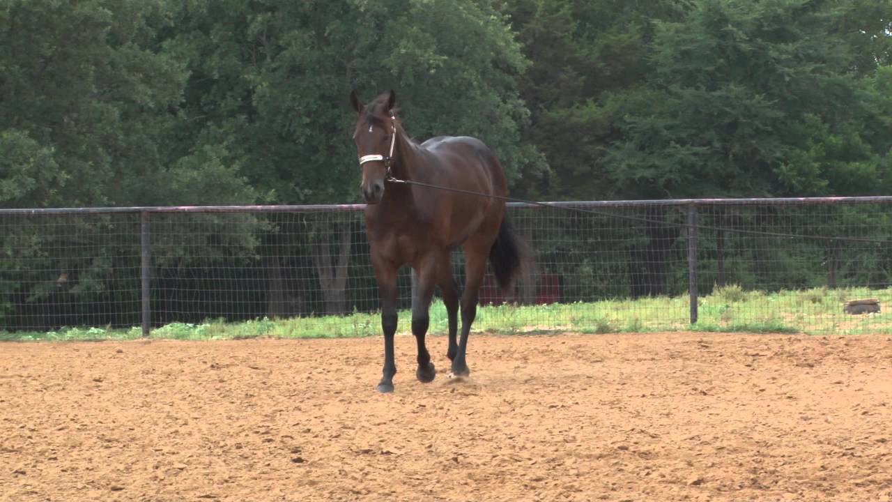 Satixfaction - Sheri Kern - YouTube