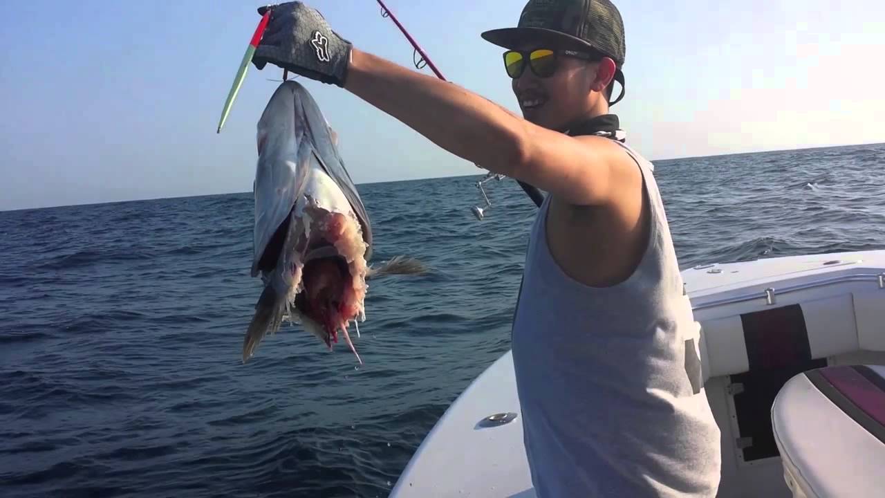Amberjack Fishing North Carolina FMF 2014 - YouTube