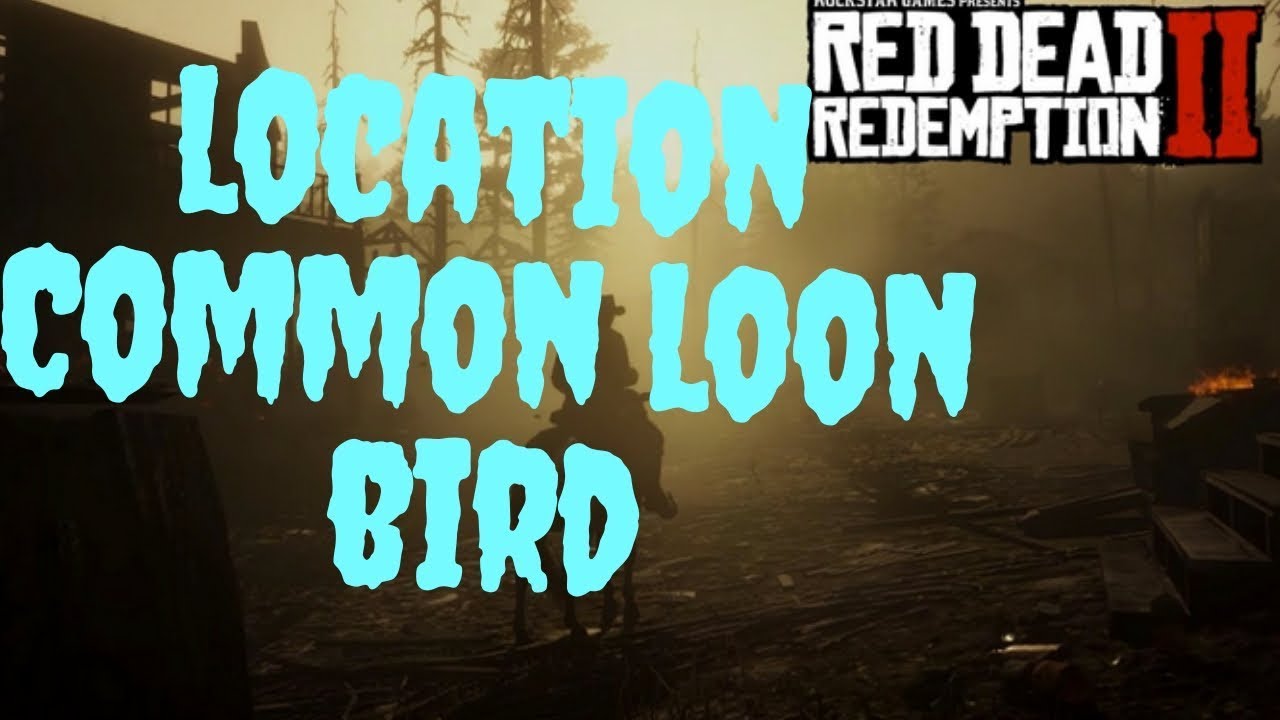 Red Dead Redemption 2 Common loon bird - YouTube