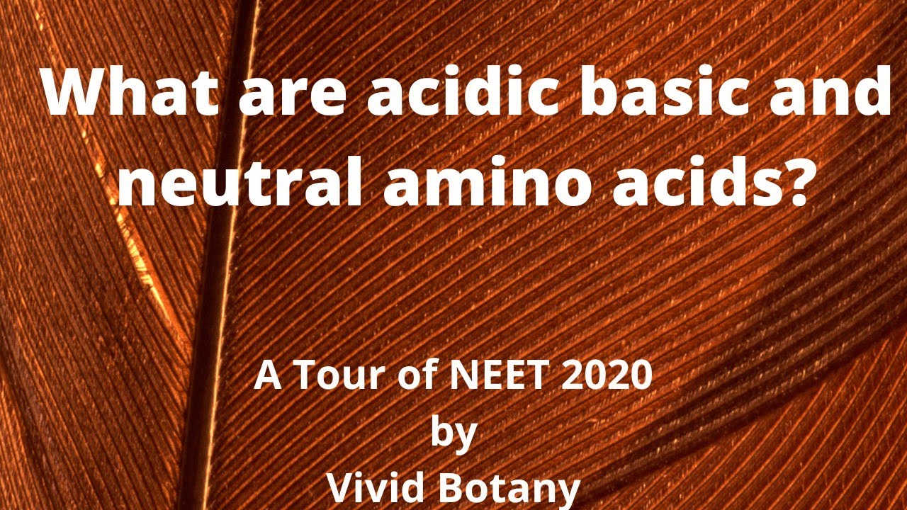 what is acidic, basic and neutral amino acid? | NEET 2020 Botany Solved ...