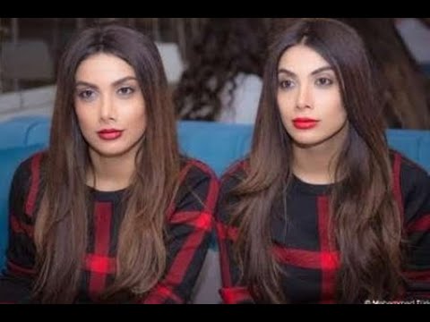 Sevil və Sevinc bacıları sənətdən gedir?