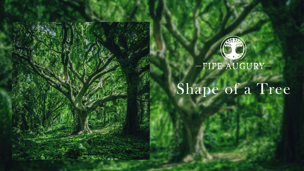 FIFE AUGURY - Shape of a Tree - YouTube