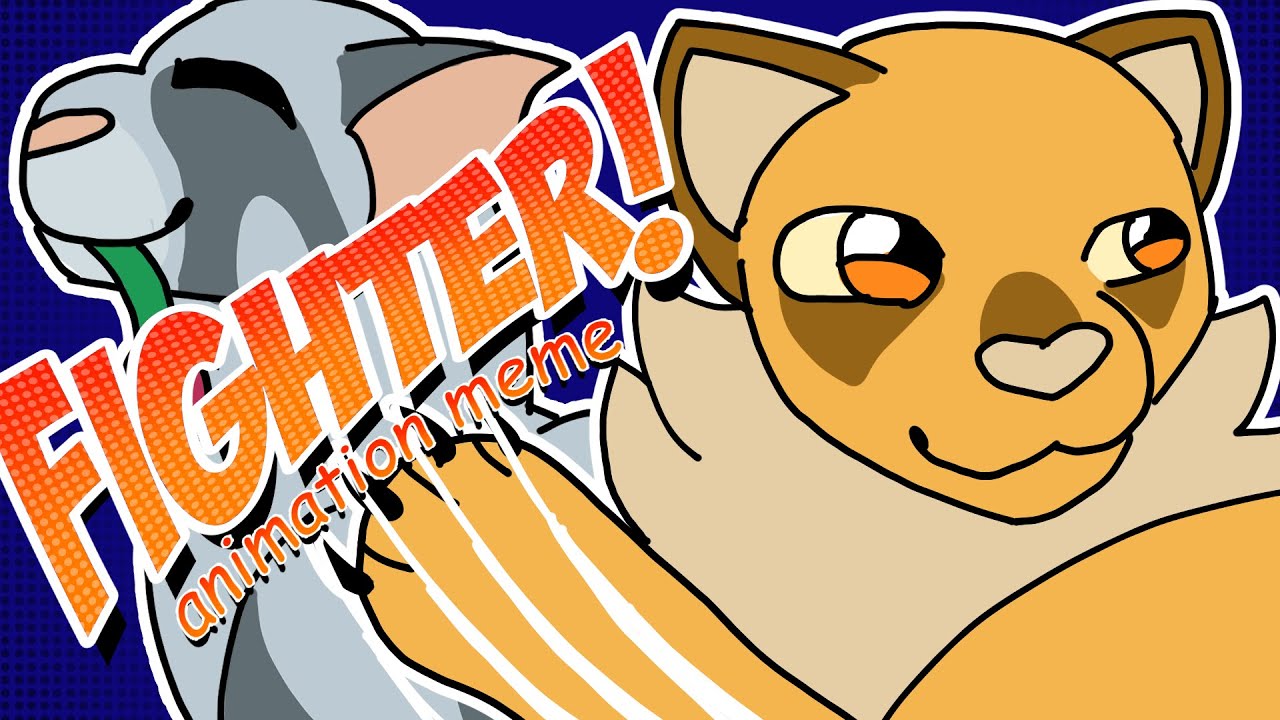 FIGHTER! Warrior Cats Animation Meme/AMV - YouTube