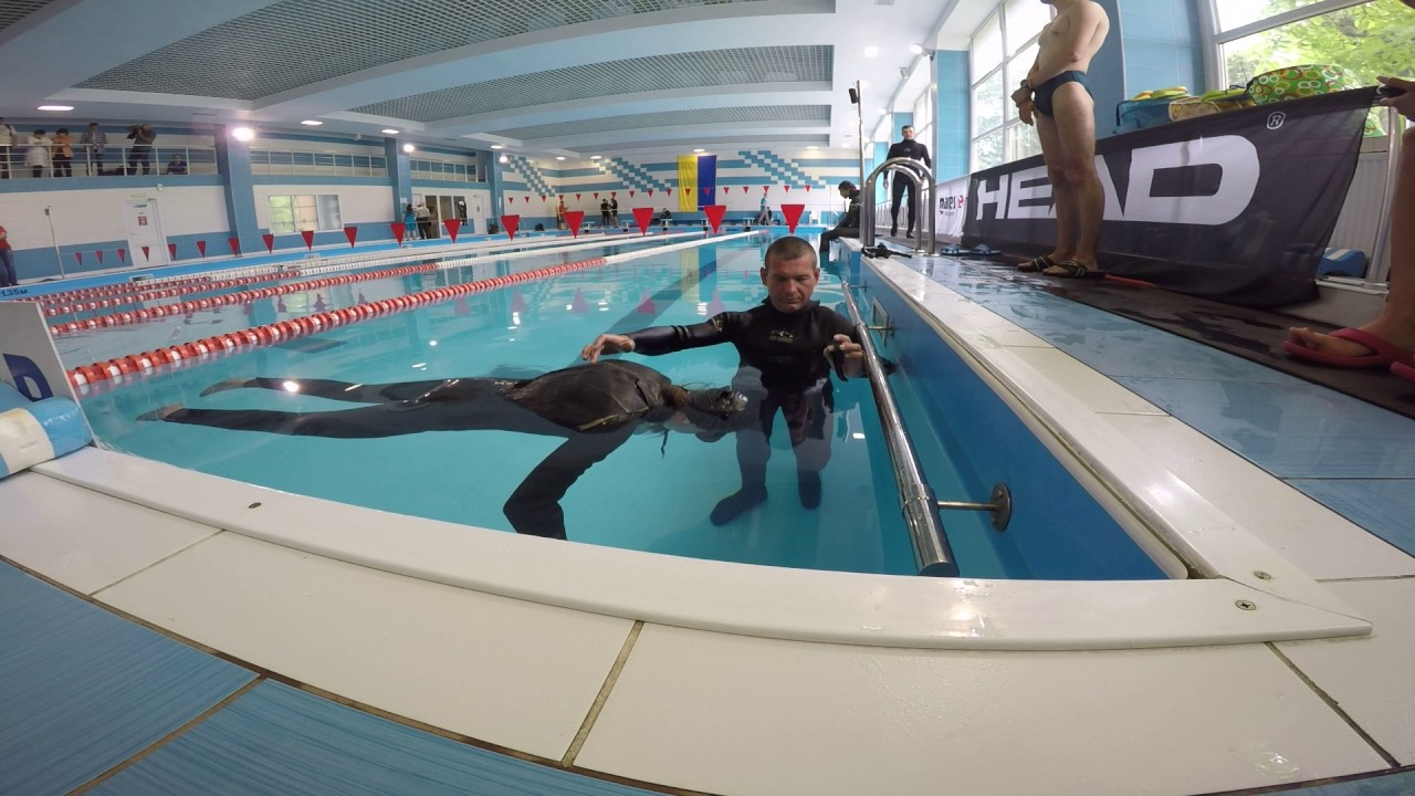 Artem Nalyvaiko. STA. Ukrainian Pool Freediving Championship 2017 - YouTube