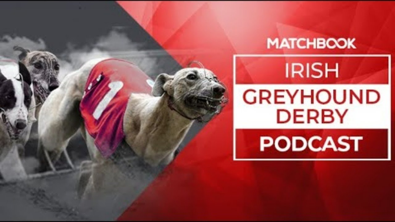 Greyhounds: Irish Greyhound Derby Final - Ian Fortune | Paul Lawrence ...