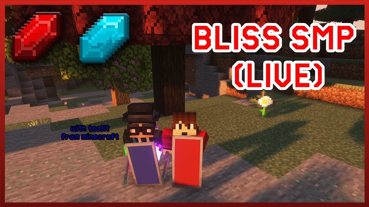 🔴 BLISS SMP With @LitToo - YouTube