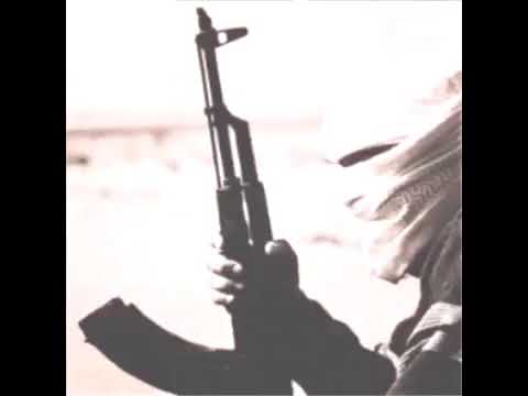 حالات واتس اب