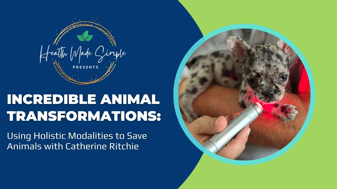 Incredible Animal Transformations: Using Holistic Modalities to Save ...