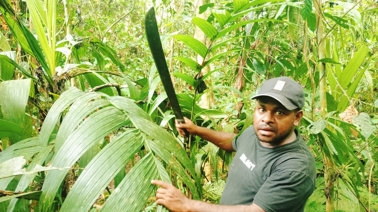 PERIKSA JERAT RUSA HUTAN PAPUA 🇵🇬🍍 - YouTube