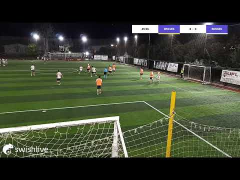 ULUSAL LİG İZMİR MÜCADELESİ  WOLVES VS BOSSES