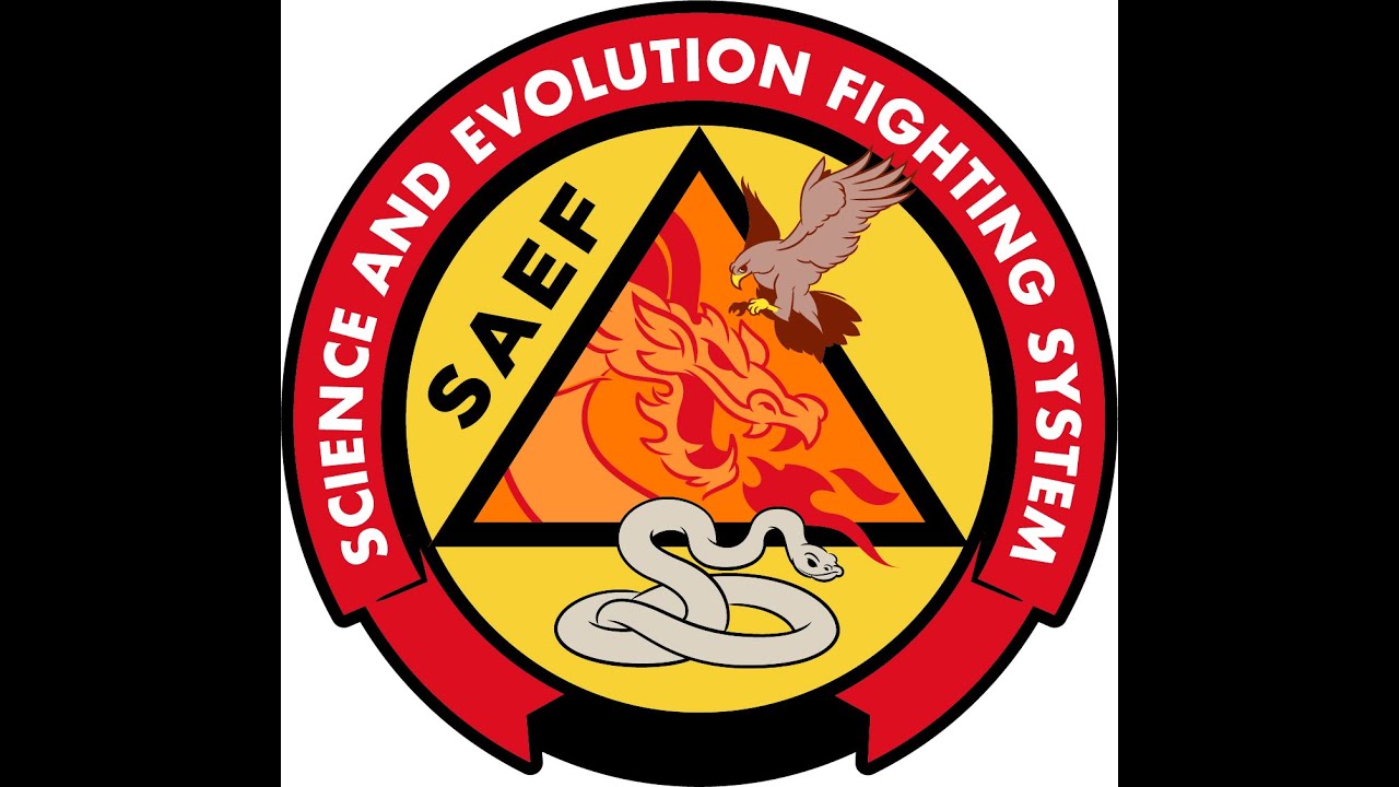 SAEF System of Self Defense - YouTube