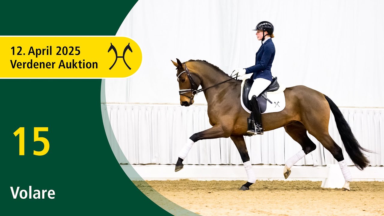 15 Volare by Va' Pensiero - Deveraux | Verden Auction OnLive - Spring ...