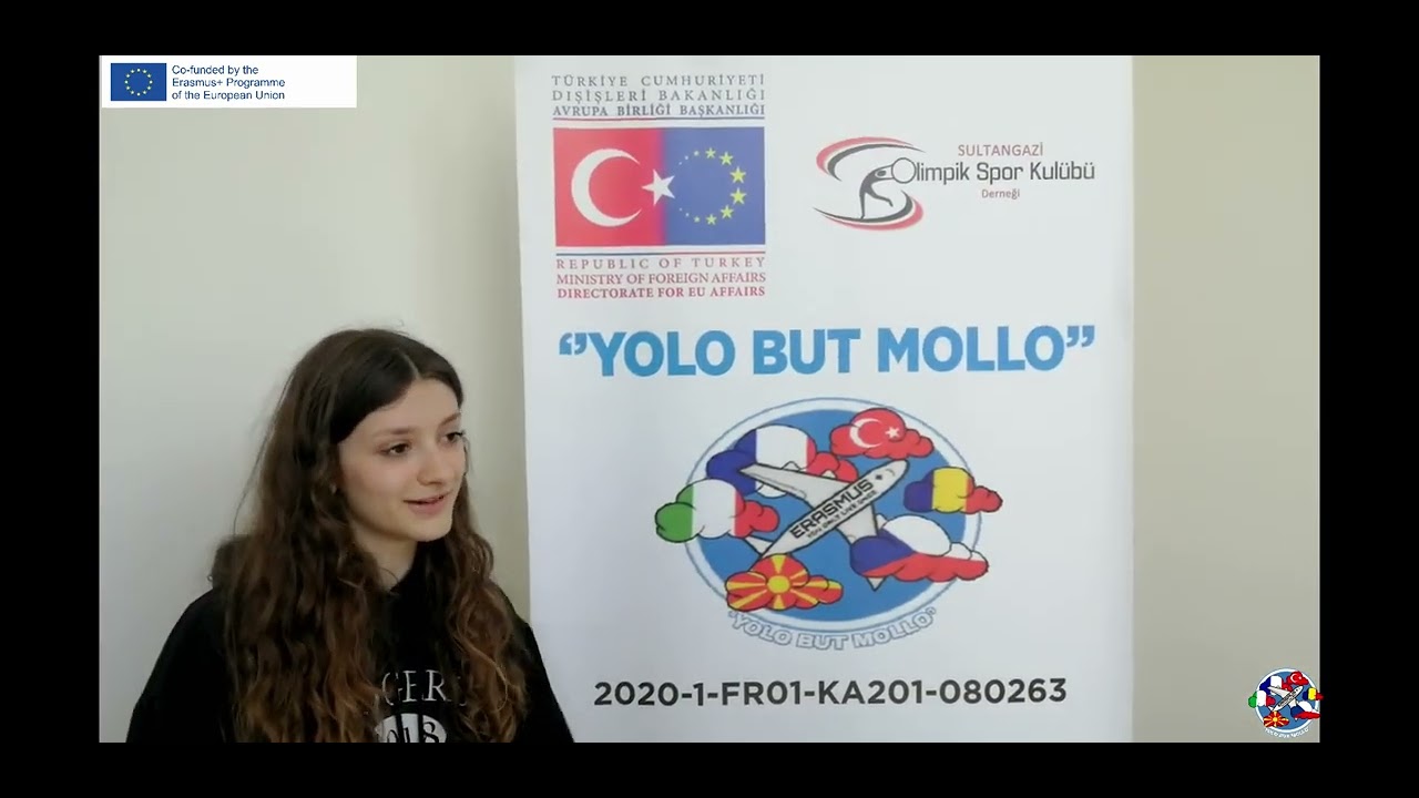 YOLO But Mollo C1 Bullying Feedback - YouTube