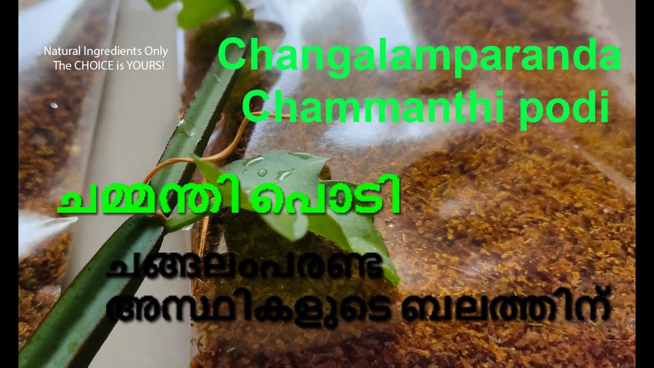 Changalam Paranda#chammanthipodi , ചങ്ങലംപരണ്ട ചമ്മന്തി പൊടി ...