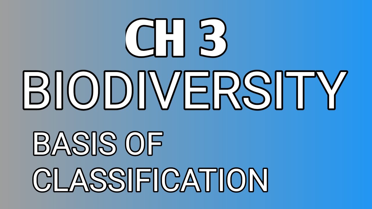 basis of classification. chapter 3 biodiversity. - YouTube