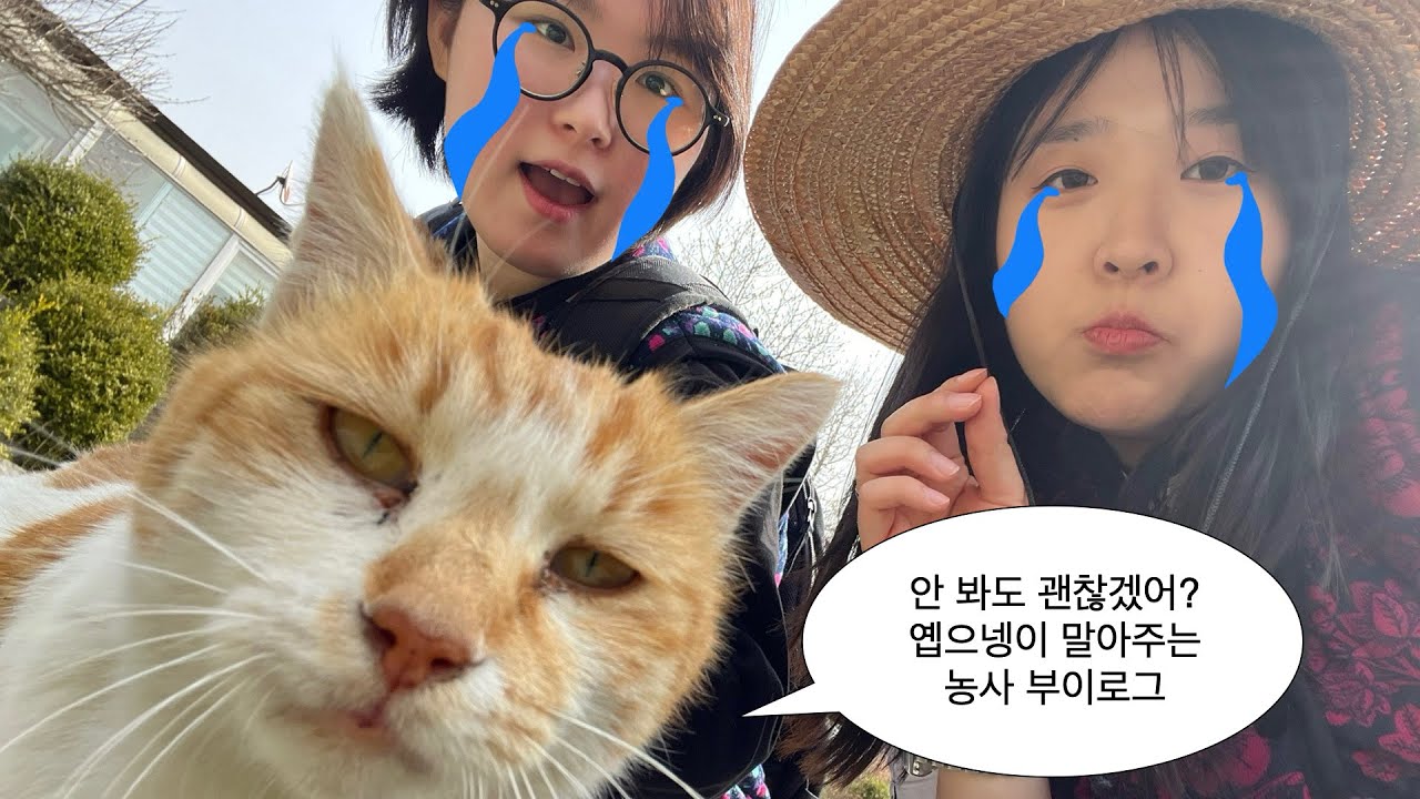 농사 브이로그 2화 👩🌾 농작물 심기 전 본격 검은 비닐 씌우기 비닐 덮는 곡갱이 삽질 일하고 먹는 밥이 꿀맛
