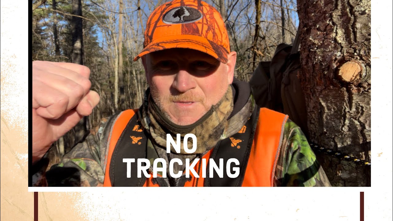 “Second Chances” Thanksgiving 2022 #publiclandhunting #deerhunting # ...