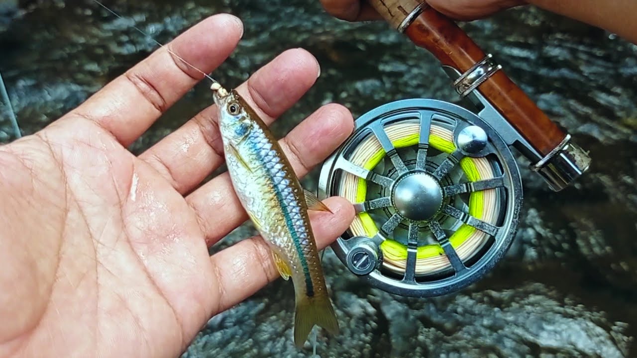 Mancing Tanago On The Micro Fly - New Year's Special - Tanago / Micro ...