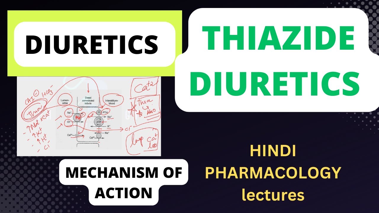 Thiazide diuretics, mechanism of action, ADRs, interactions, # ...