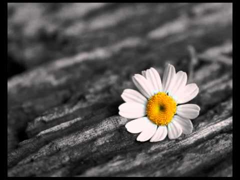 TuGBa Ger ~aL GöTüR BeNi~