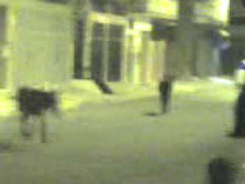 chouha casa blanca 2009 : 7amir yatajawaloune fi casanegra