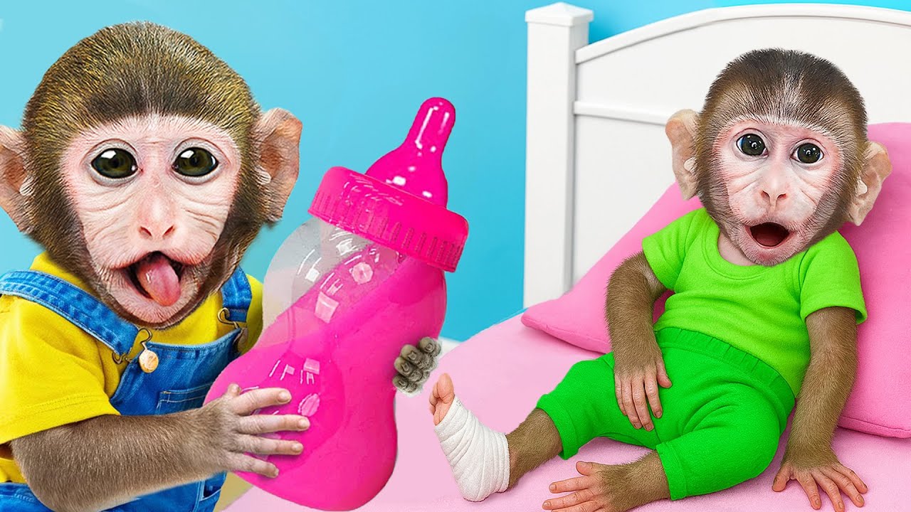 Monkey MoMo & Monkey Nana drive a tractor, take care of a sick baby monkey and make a birthday ...