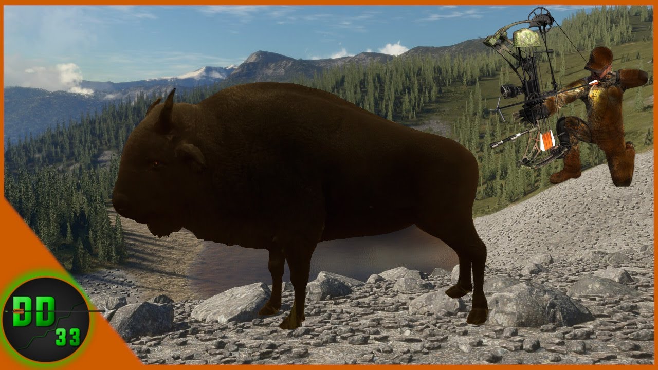 Rare Melanistic BISON at 150 Yards! Call Of The Wild - YouTube