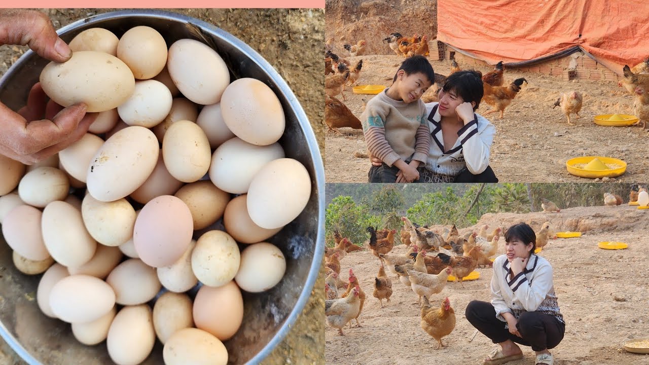 Raising chickens in winter is hard work - YouTube