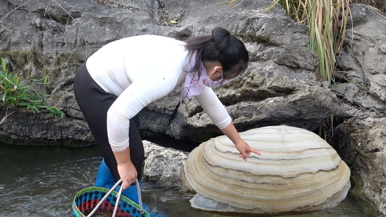 The beautiful woman caught a giant clam in the water, hiding countless ...