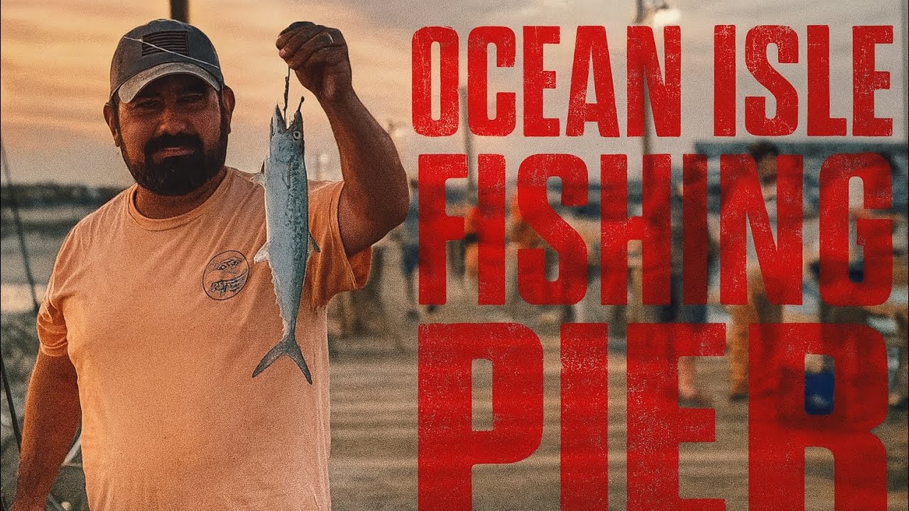 OCEAN ISLE FISHING PIER SHARKS AND STINGRAYS - YouTube