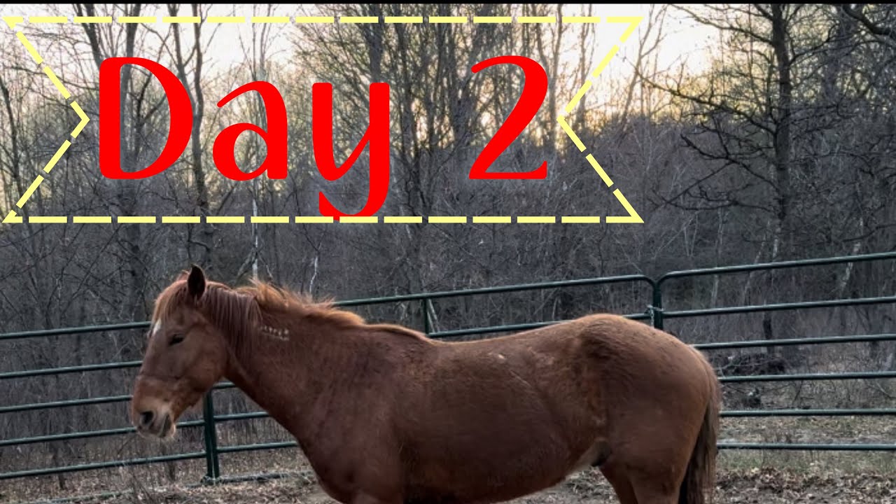 Day 2 With my Mustang!! - YouTube