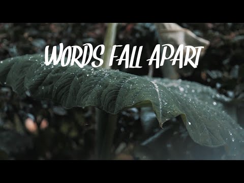 Words fall Apart / lyrics - #worldfallapart #musiclyrics #joshwoodward ...