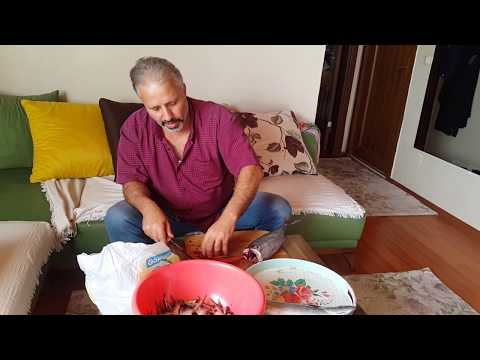 Yerli Palamut Nasıl Temizlenir??? Ve Nasıl Kesilir???