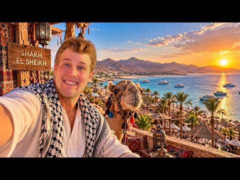 OLAYLI MISIR VLOG!?