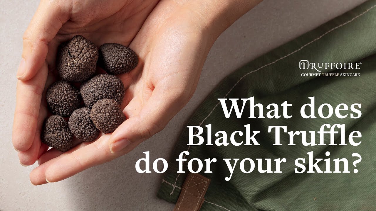 Discover the Benefits of Black Truffle to Your Skin - YouTube