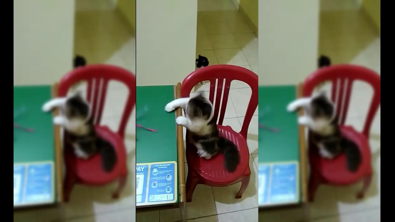 Lucky & Lucy mau jadi Youtuber - YouTube