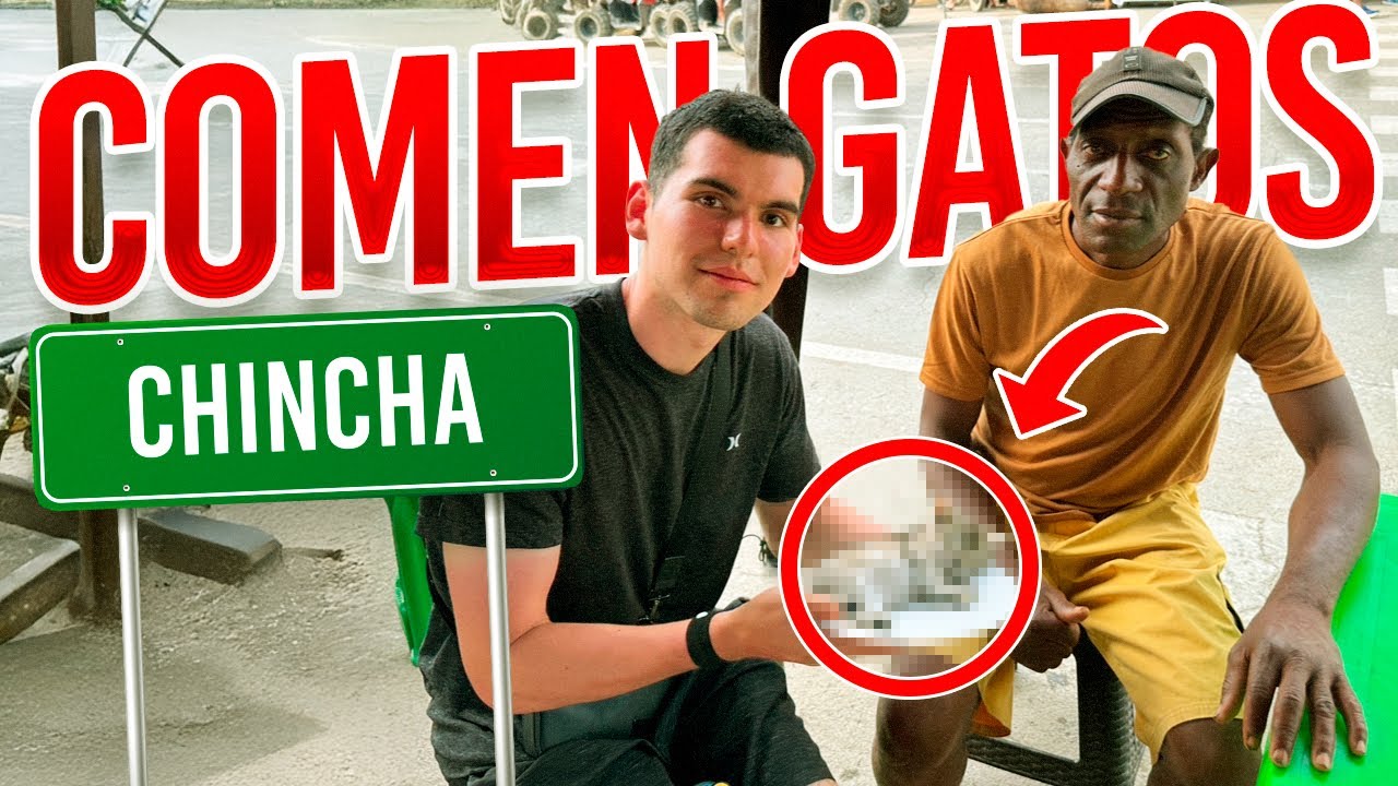 En este Lugar comen gato 🇵🇪 Chincha, la ciudad de los chocolateros⚽️🍫 ...