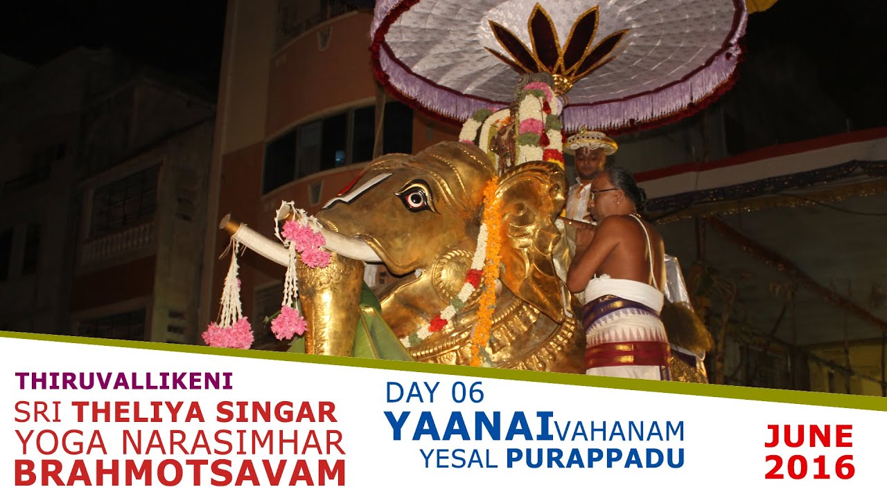 06 Yaanai Vahanam YEsal Purappadu - Thiruvallikeni Sri Theliya Singar ...