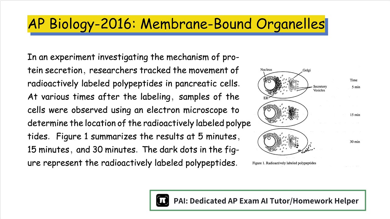 2016 AP Biology: Membrane-Bound Organelles: Cell Biology - YouTube