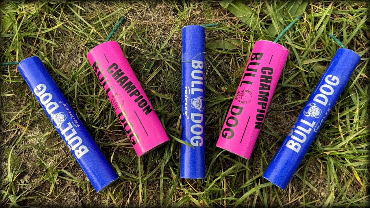 Sigma & Champion Bulldog | Nové Petardy 2025 - YouTube