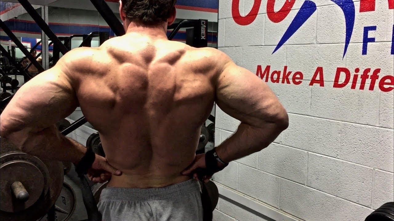 SHREDDED BACK - YouTube