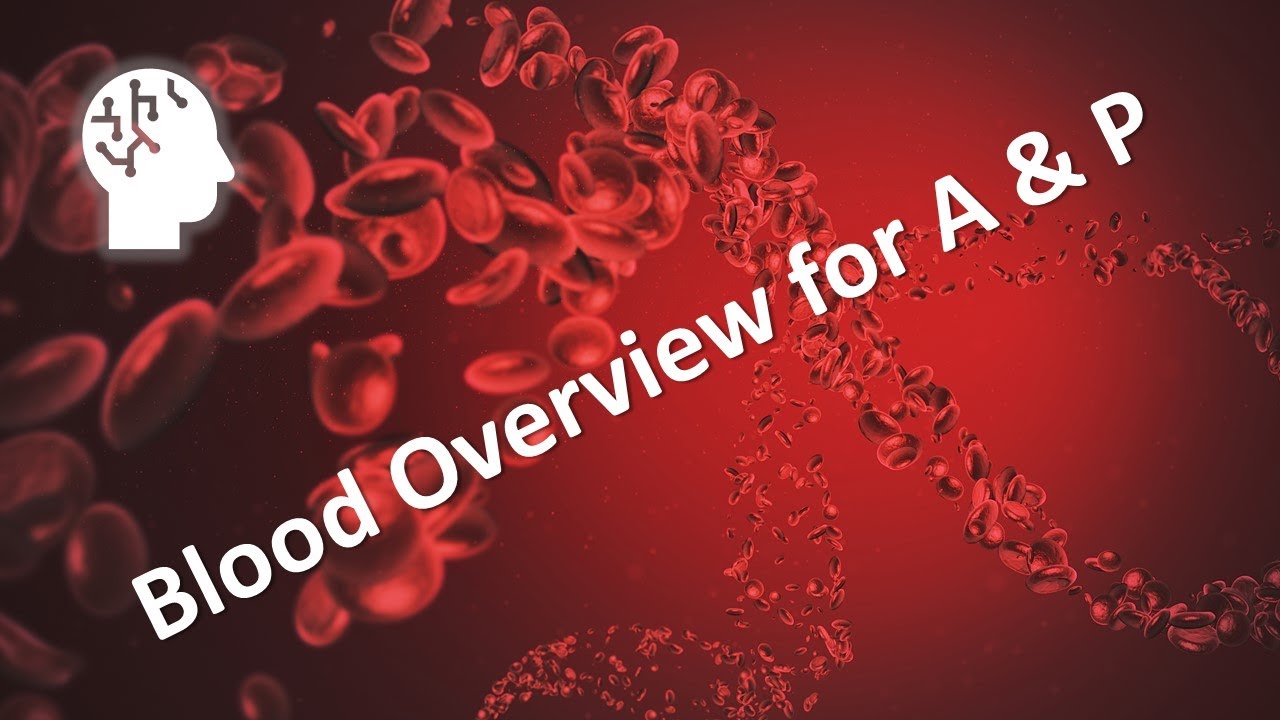 Blood Overview for A & P - YouTube