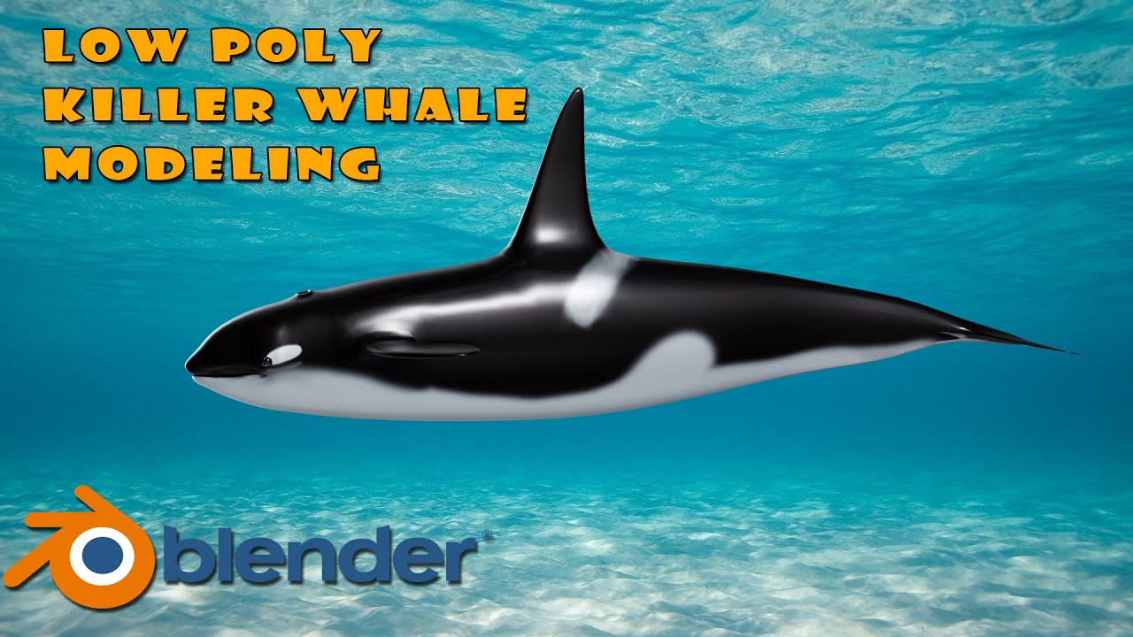 Low Poly Killer Whale Modeling in Blender 2.93 - YouTube