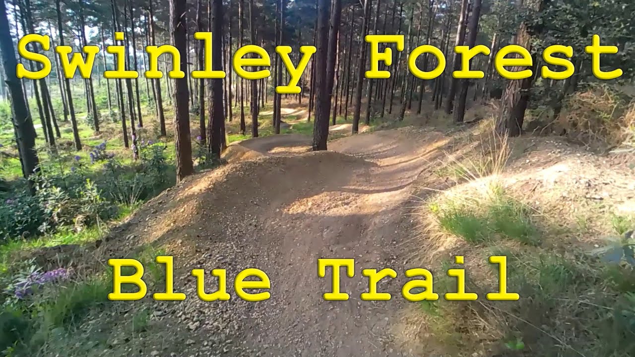 Swinley Forest Entire Blue Trail - YouTube