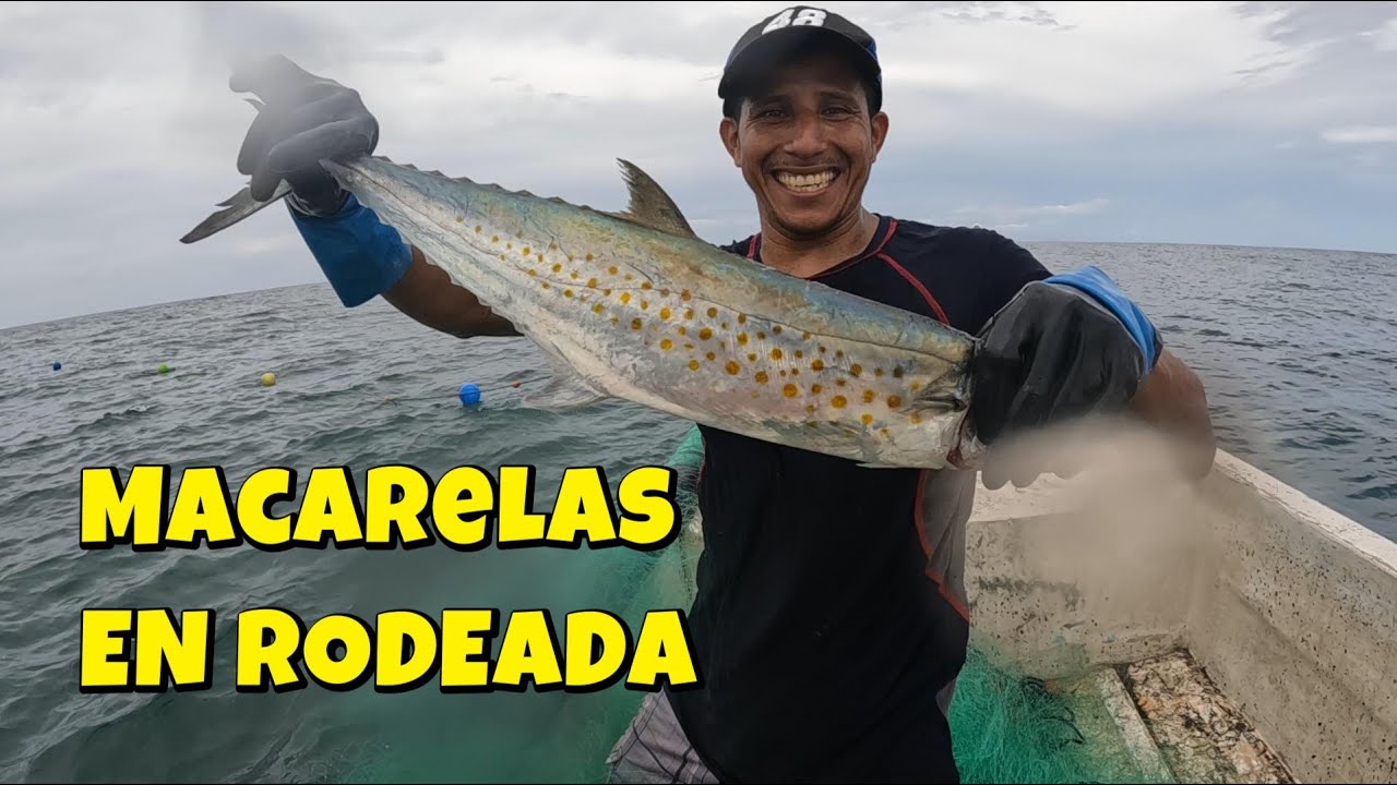 Le pegamos a las MACARELAS EN LA RODEADA - YouTube